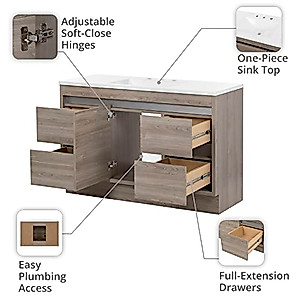 Spring Mill Cabinets D48V40264 Tarni Single Bathroom Vanity with 4 Drawers, Cabinet, and White Sink Top, Forest Elm
