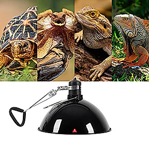 OIIBO Reptile Heat Lamp Fixture,10 Inch Deep Dome Reptile Light Fixture with 250W Ceramic Heat Lamp,UVB Reptile Light for Reptile Glass Terrariums