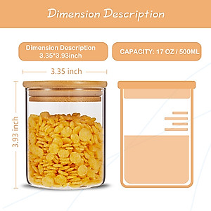 9pcs Glass Jars with Airtight Bamboo Lids,17 oz 500ml Wide Mouth Clear Glass Food Storage Containers,Glass Kitchen Canisters with Labels for Coffee Bean,Candy,Tea,Spices,Nuts and More Dry Goods
