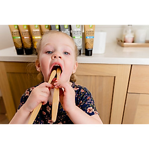 Redmond Earthpaste with Silver - Natural Non-Fluoride Toothpaste, 4 Ounce Tube (Lemon Twist)