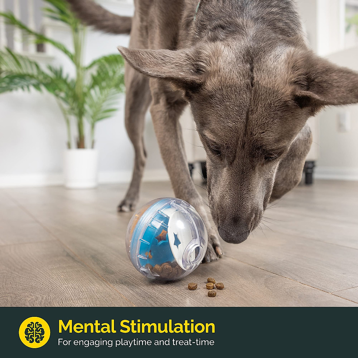 Pet Zone IQ Treat Ball Dog Treat Dispenser Toy Ball Interactive Dog Toy - 4" Dog Food Toy Stimulation, Slow Feeder