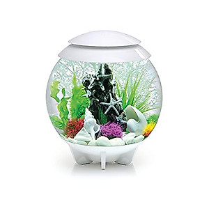 biOrb 46133.0 Sea Shell Set 3 White Aquariums