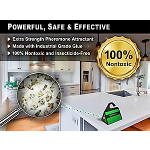 MaxGuard Birdseed Pantry Moth Traps (10 XL Pack) Extra Strength Pheromones | Non-Toxic Extra Large Sticky Glue Trap for Bird Seed Storage Areas | Attract, Trap and Kill Moths
