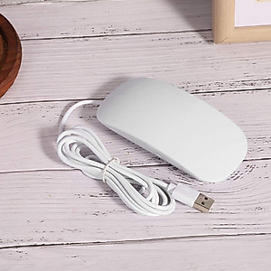 Household Mini Portable Ultrasonic Vibration Laundry Washer Vegetables Fruits Washing Machine（White）