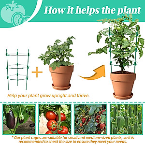 Tomato Cage Plant Support Cage for Garden 4 PACK, 18 Inch Tomato Trellis Garden Cages with 3 Adjustable Rings, Tomato Plant Stakes for Climbing Plants, Flowers, Fruit, Vegetables