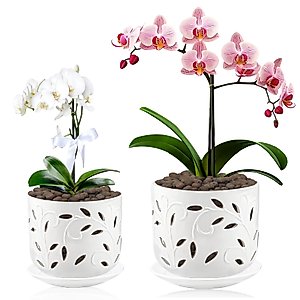 BUYMAX Set of 2 Orchid Pots with Holes & Saucers for Orchid Root Health, 5 inch&6 inch Ceramic Pots for Plants, Effective Drainage and Ventilation to Assist New Plants or Repotting
