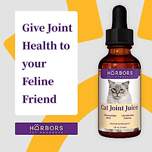 Harbor's Cat Hip Helper - Cat Joint Supplement Liquid for Fast Pain Relief, Smooth Younger HIPS. Natural Nutrients, Glucosamine, MSM, Chondroitin, Hyaluronic Acid, Yummy Organic Beef Flavor - 59 ml