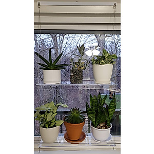 SUPREMETECH Hanging Acrylic Shelves for Windows (16" Wide, 1 Shelf - 26" Tall)