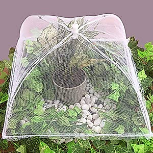 (6 Pack) Omont Pop-Up Food Cover Tents, 17 Inch X17 Inch Food Mesh Cover, Reusable and Collapsible Outdoor Picnic Food Cover Net,Suit for Parties Picnics,BBQs