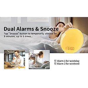 MOMILLA Sunrise Alarm Clock, Wake-up Light Compatible with Alexa, Dual Alarms with FM Radio, Snooze Function for Heavy Sleepers, Adults&Kids- Alarm Clock Standard Version