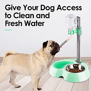 Super Design Dog Water Bottle Stand, Automatic Multifunctional Dog Water Bottle Dispenser Dog Water Feeders Bowl Dispenser Portion Control Water Dispenser for Dogs & Cats, No More Dripping Beard