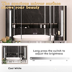 Leavader Aluminum Bathroom Medicine Cabinet with Mirrors and LED Lights, Three-Door Storage Cabinet Bathroom Wall Cabinet with Mirrored Door (39 x 28 inch)