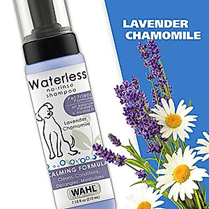 Wahl Pet Friendly Waterless No Rinse Shampoo for Animals – Lavender & Chamomile for Cleaning, Conditioning, Detangling, & Moisturizing Dogs, Cats, & Horses – 7.1 Oz - Model 820014A