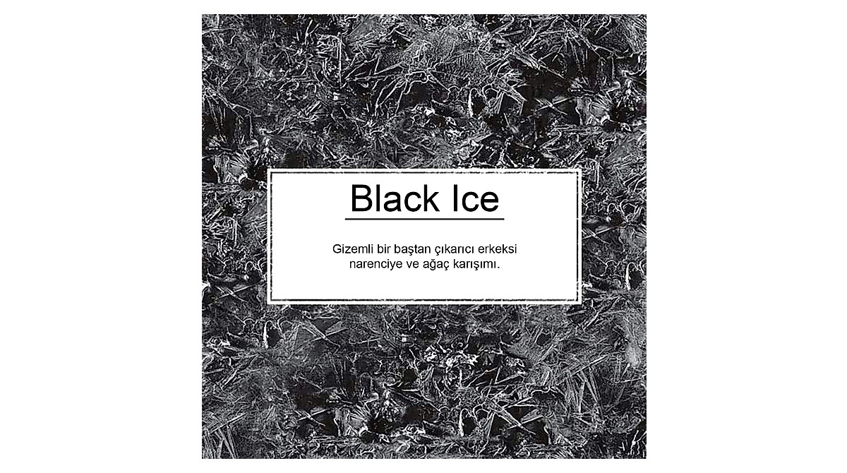 Little Trees Black Ice Air Freshener - 24 Pack