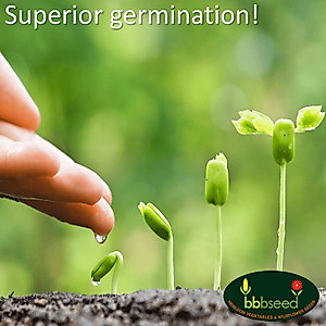 Sunflower Wildflower Seeds Mix - 1oz, Open-Pollinated Wildflower Seed Mix Packets, Non-GMO, No Fillers, Annual Sunflower Seeds, Summer Planting - 1 oz