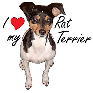 CafePress Rat Terrier Mug Ceramic Coffee Mug, Tea Cup 11 oz