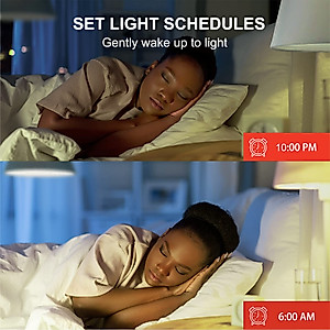 Sengled Smart WiFi Light Bulbs That Work with Alexa & Google Home, No Hub Required, LED Light Bulb A19 Soft White Light (2700K), 2 Pack