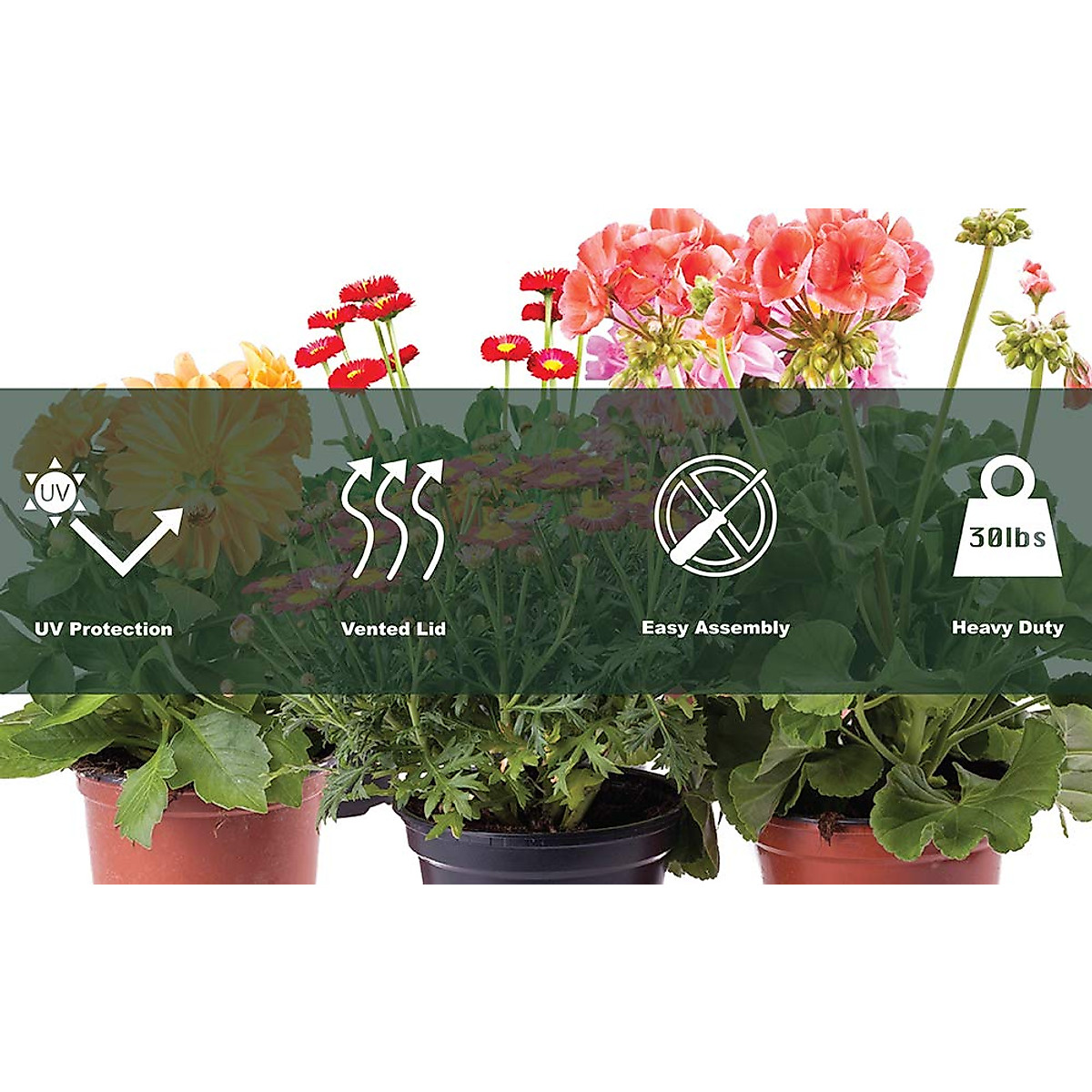 EarlyGrow Seed and Herb Domed Propagator with 2 Vented Side Height Extensions and Security Clip Set