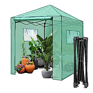PexFix 6'x 5' Portable Walk-in Greenhouse Easy Setup,Indoor Outdoor Greenhouse Garden Green Houses Instant Pop-up Greenhouse,2 Roll-Up Mesh Windows and Roll-up Zipper Door,Green