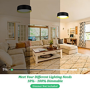 Flush Mount Ceiling Lights, 25W LED Ceiling Light Fixtures 300W Equivalent 2600LM 5CCT Adjustable Modern Black and Gold Flush Mount Light Fixture Dimmable Ceiling Lamps for Bathroom Hallway Bedroom