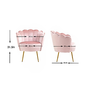 hegmentine Modern Accent Home Office Chair Desk Chair Task Vanity Chair Makeup Chairs Velvet Living Room, Bedroom…(Iceberry Pink)