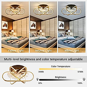 DADUL 16.5" Ceiling Fan with Lights Remote Control, Flush Mount Bladeless Ceiling Fan, 3 Color 6 Speeds Wind Low Profile Ceiling Fan with Light for Bedroom Living Room - Gold