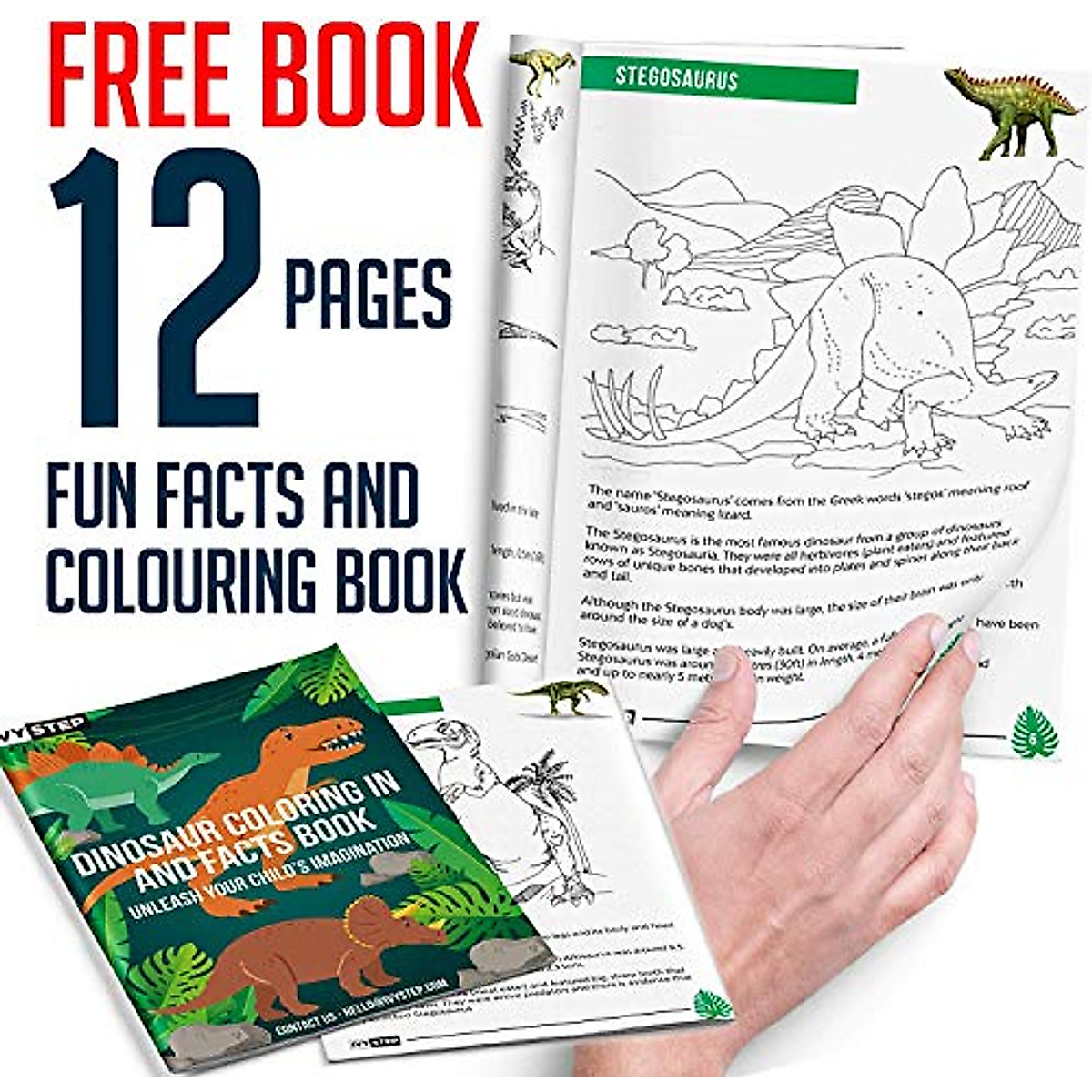 Dinosaur Building Toy Set for Kids - STEM Take Apart Construction Toys Include Build a Dino Construct & Play Kit, Storage Bag, & Coloring Book - Educational Toys, Birthday Party Toy Dinosaurs