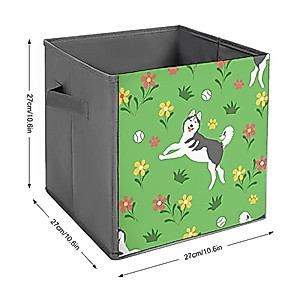 Siberian Husky On The Grass Canvas Collapsible Storage Bins Cube Organizer Baskets with Handles for Home Office Car