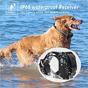 Wireless Fence for Dogs - Rechargeable and Waterproof Shock Collar - Electric Pet Fence for Stubborn Dogs - Safe Effective No Randomly Over Correction - Boundary Fence System for All Dogs,for3dogs
