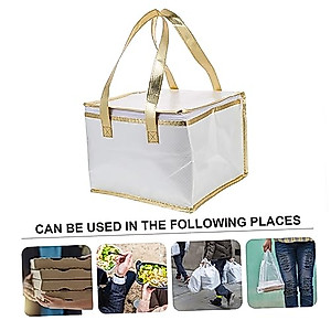 ULTECHNOVO Insulated Bag food warmer insulated for food delivery insulated delivery catering for food deliveries cake delivery insulated food delivery aluminum Fresh cooler Cake Delivery Bag