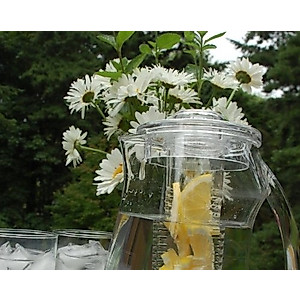 Prodyne Fruit Infusion Flavor Pitcher