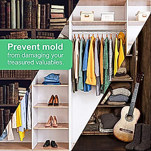 Airthings-292 Wave Mini - Indoor Air Quality - Chemicals (TVOCs), Humidity, Temperature 20 x 30 x 1