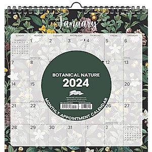 Willow Creek Press Botanical Nature Monthly Spiral-Bound 2024 Wall Calendar (12" x 12")