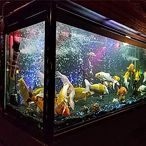 Camessy Foam Filter Pads for Aqua Clear 500/110 Foam AquaClear A-623 (Pack of 6)