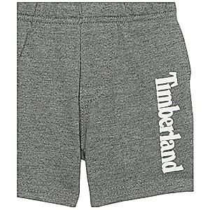 Timberland baby boys 2 Pieces Tee Shorts Set, Scarlet Ibis, 18M US