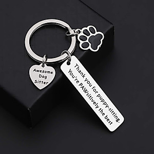 Lywjyb Birdgot Dog Walker Gift Dog Sitter Thank You Gift Dog Sitter Keychain