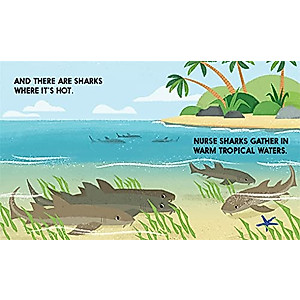 Sharkblock (An Abrams Block Book)