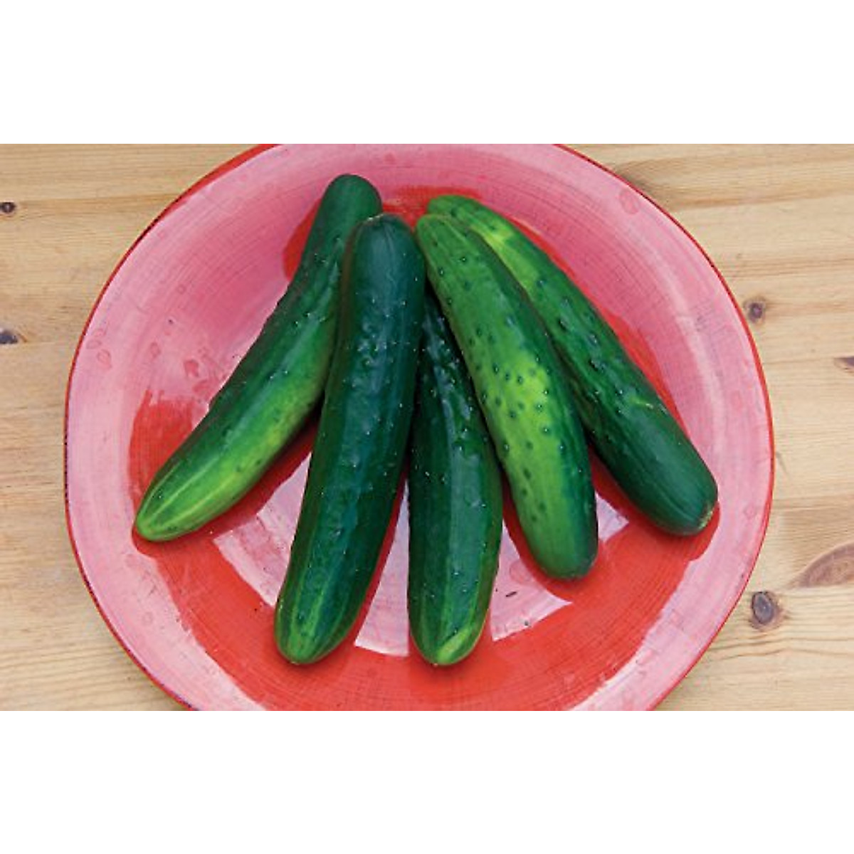 Burpee Salad Bush Slicing Cucumber Seeds 30 seeds