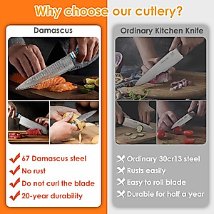 Chef Knife Set Damascus, 3PCS Professional Japanese VG10 Damascus Steel Kitchen Knife Set Chefs Knife, Paring knife, Santoku Knives, Chef Knife Set for Kitchen with Gift Box