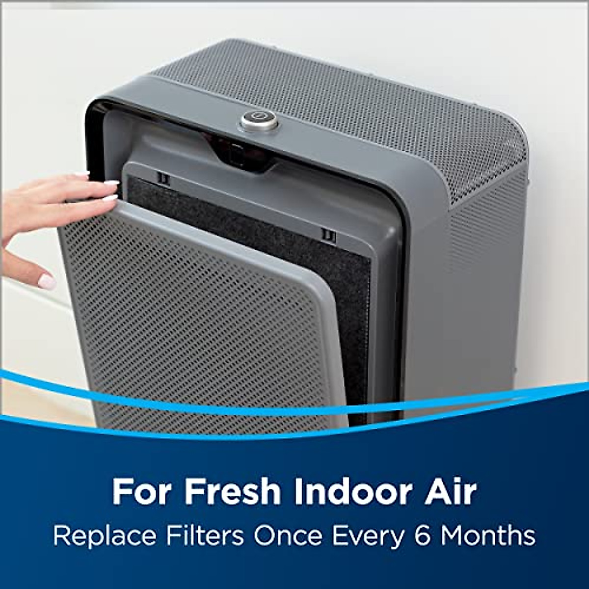 BISSELL air220 Air Purifier Replacement Pet Pro Filter Pack, 3289