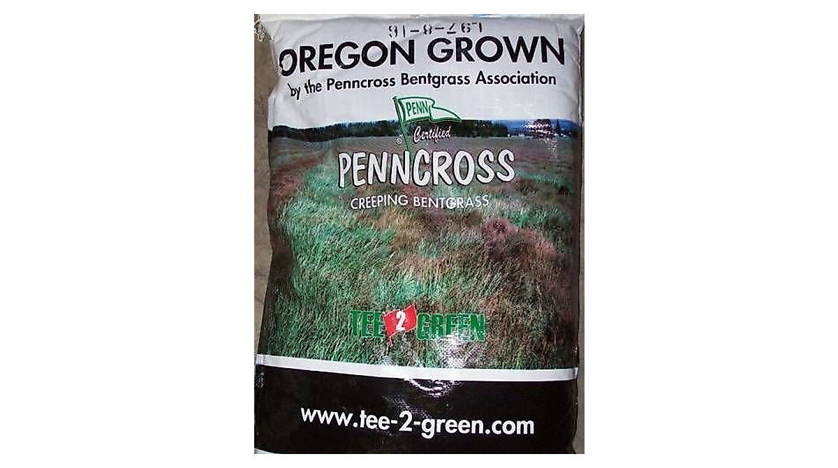 Penncross Bentgrass Green Seed for Golf Greens & Putting Surfaces