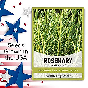Rosemary Seeds for Planting - It is A Great Heirloom, Non-GMO Herb Variety- Great for Indoor and Outdoor Gardening by Gardeners Basics