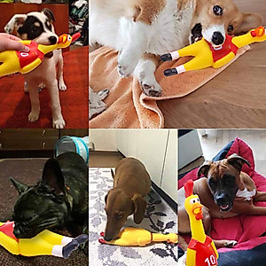 POPLAY 14inch Rubber Chicken Grade Latex Squeeze Chicken Prank Novelty Pet Toys for All Age Groups Gift for Children Family Dogs
