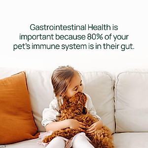 pawTree Gastro Pro Plus for Dogs and Cats - Probiotics, Prebiotics and Digestive Enzymes - for Sensitive Stomach, Digestive Issues, Loose Stool, and Bad Gas (60 ct)