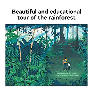 Over and Under the Rainforest