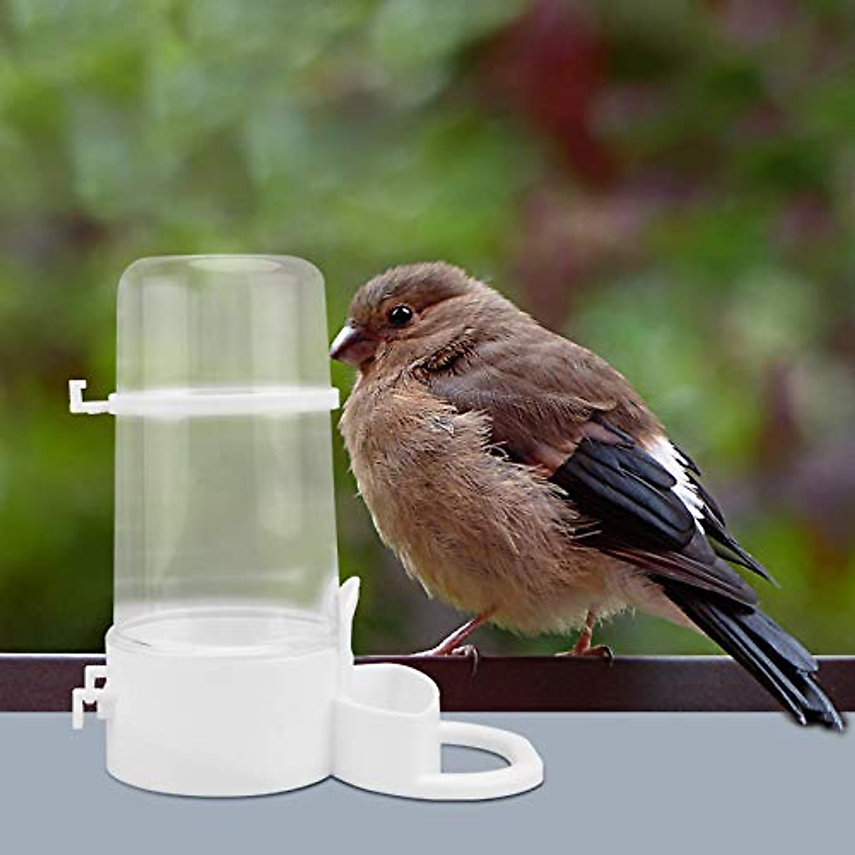 balacoo 2Pcs Automatic Bird Feeder Bird Water Bottle Poultry Drinker Water Jug Container Food Dispenser for Chickens Birds Pigeon Quail White