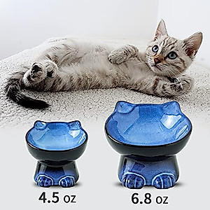 Nihow Slanted Elevated Cat Bowls: 5 Inch Ceramic Raised Cat Food Bowl for Protecting Pet's Spine - Microwave & Dishwasher Safe -Elegant Blue & Black (4.5 OZ /1 PC)