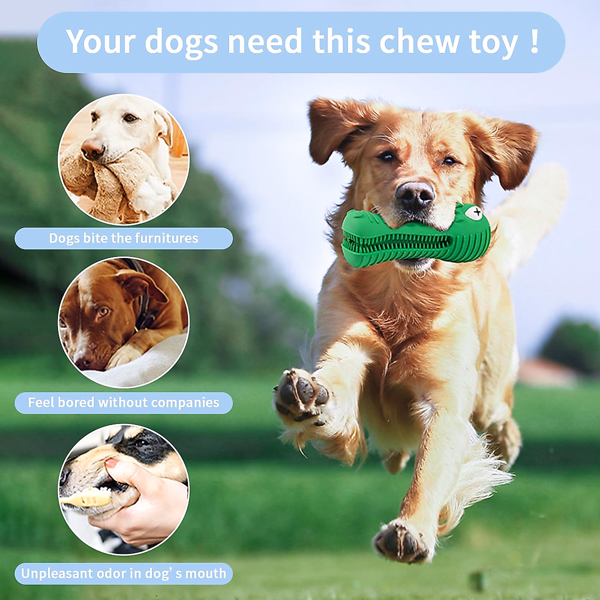 Prokei Dog Chew Toys, Durable Squeaky Dog Toys for Aggressive Chewers, Alligator Head Rubber Teething Toy, Interactive Dog Toys for Medium Large Breed Size, Milk Flavor