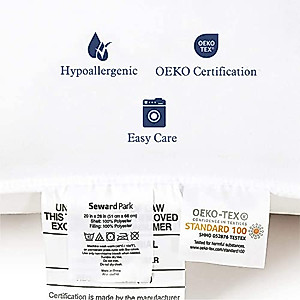 Seward Park Throw Pillow Inserts 20 x 20 in Set of 2 for Couch and Sofa, Soft Fluffy Square Form Down Alternative Cushion Decorative Pillow Inserts