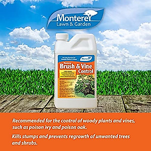 Monterey LG5367 Brush and Vine Killer Stump and Tree Sprouting Herbicide Control Concentrate, 32 oz